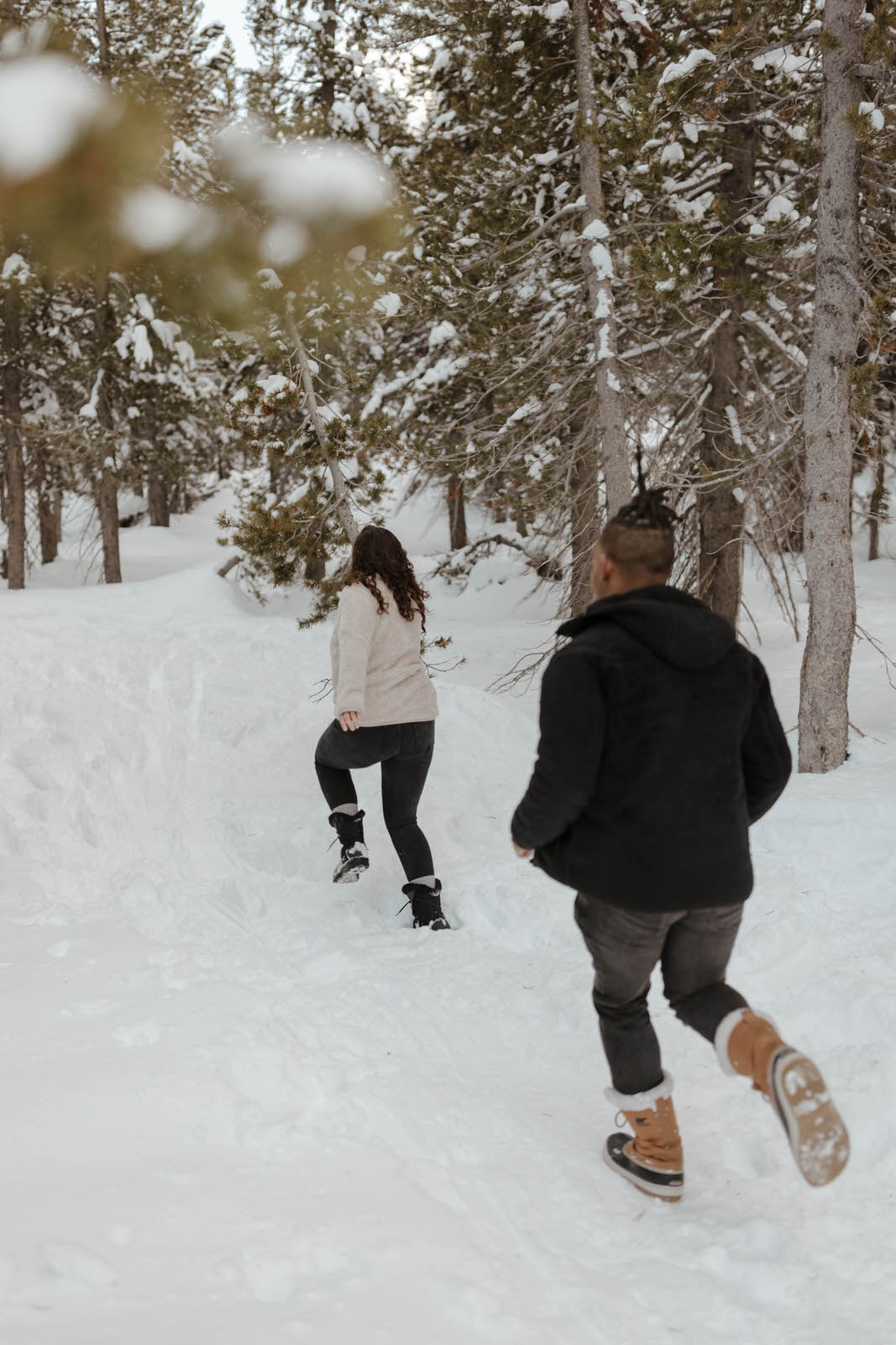 Mount Rose Meadows Engagement Photos || Amber & Derek - Bridgette Wuest ...