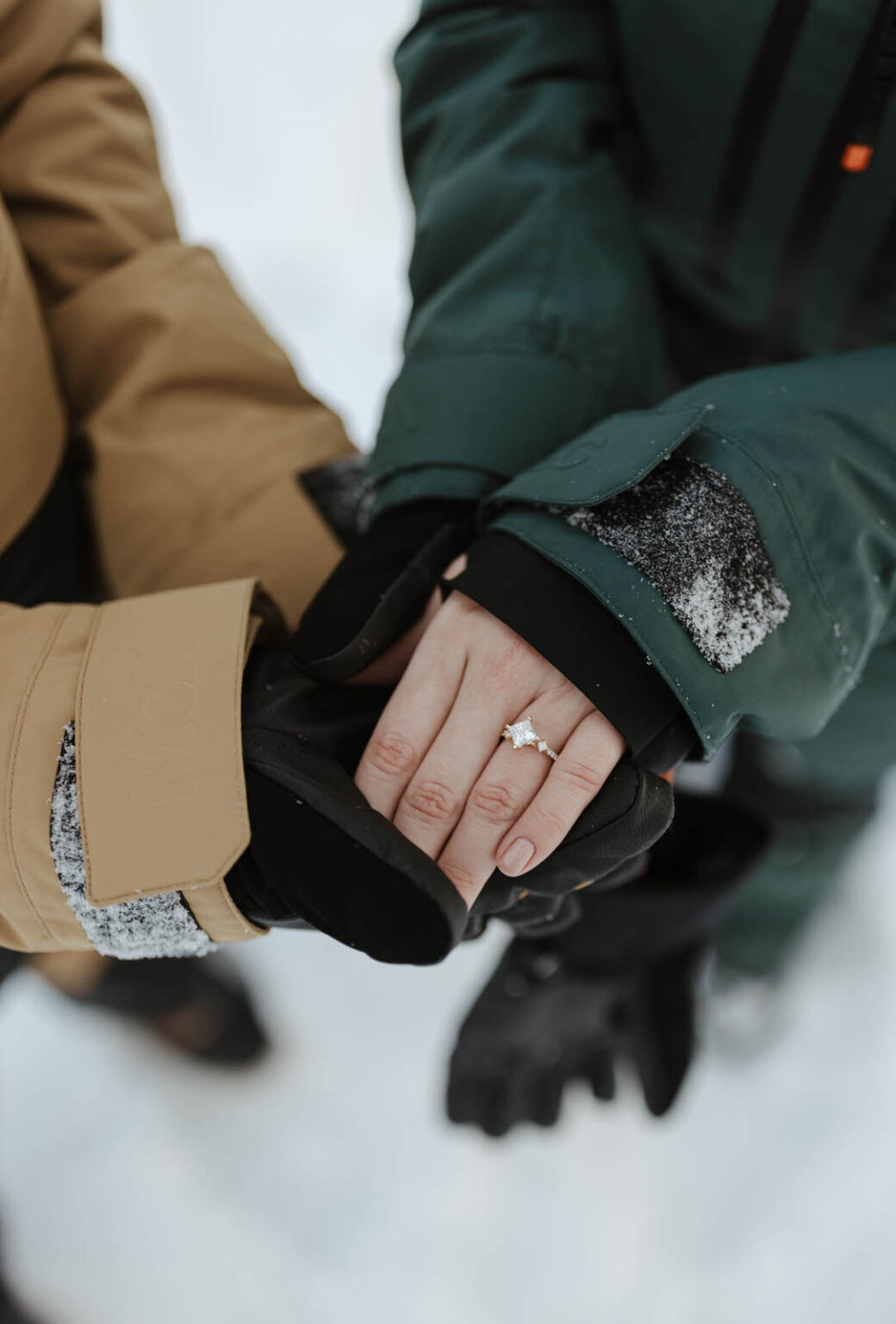 Mount Rose Meadows Engagement Photos || Amber & Derek - Bridgette Wuest ...