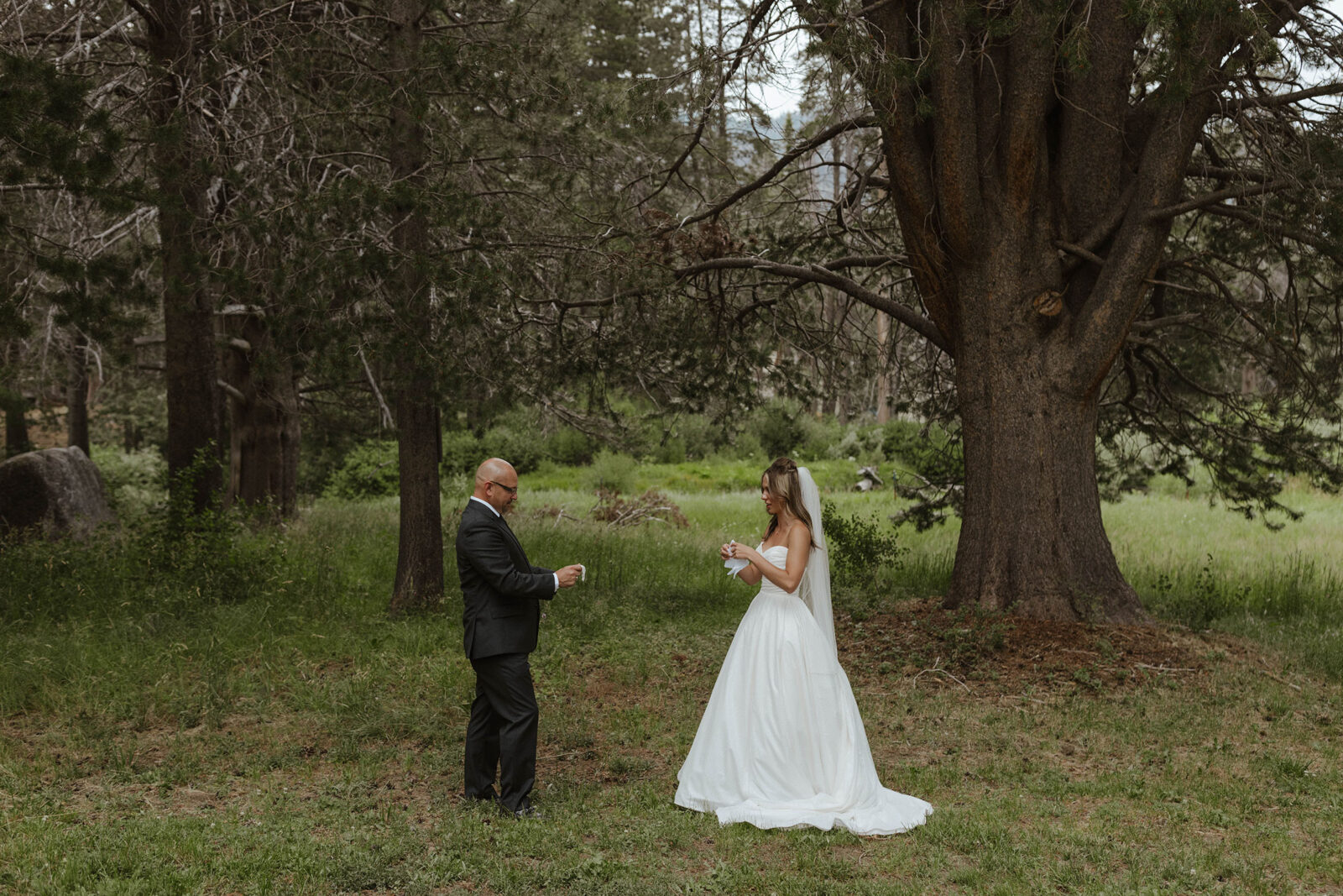 Celio Ranch Lake Tahoe Wedding || Kaitlyn & David