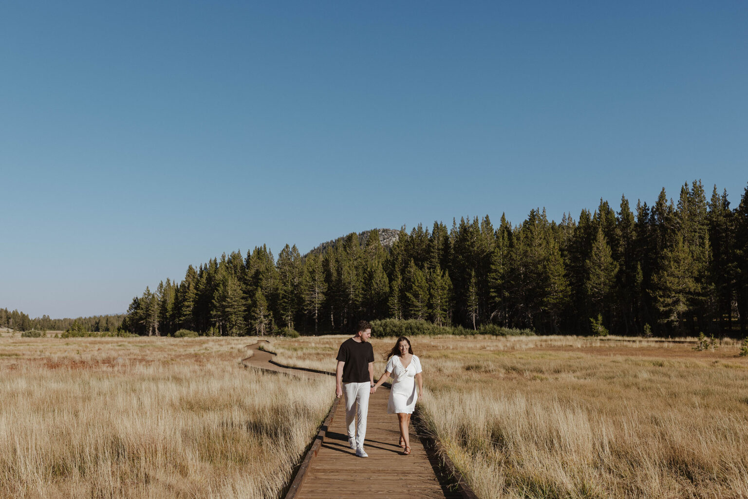 Fall Mount Rose Meadows Engagement Photos || Francesca & Evan